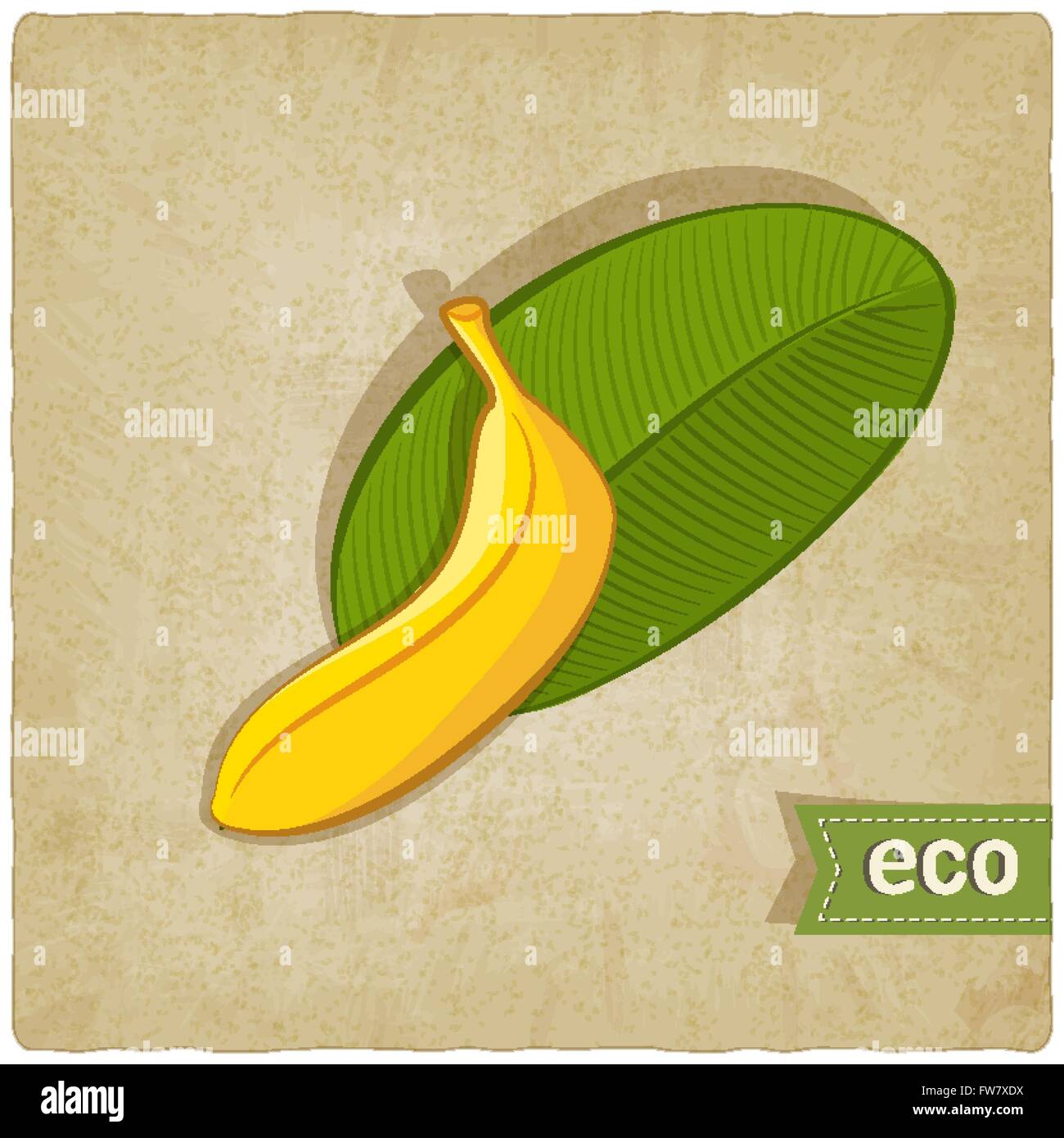 fruit eco old background - vector illustration. eps 10 Stock Vector ...