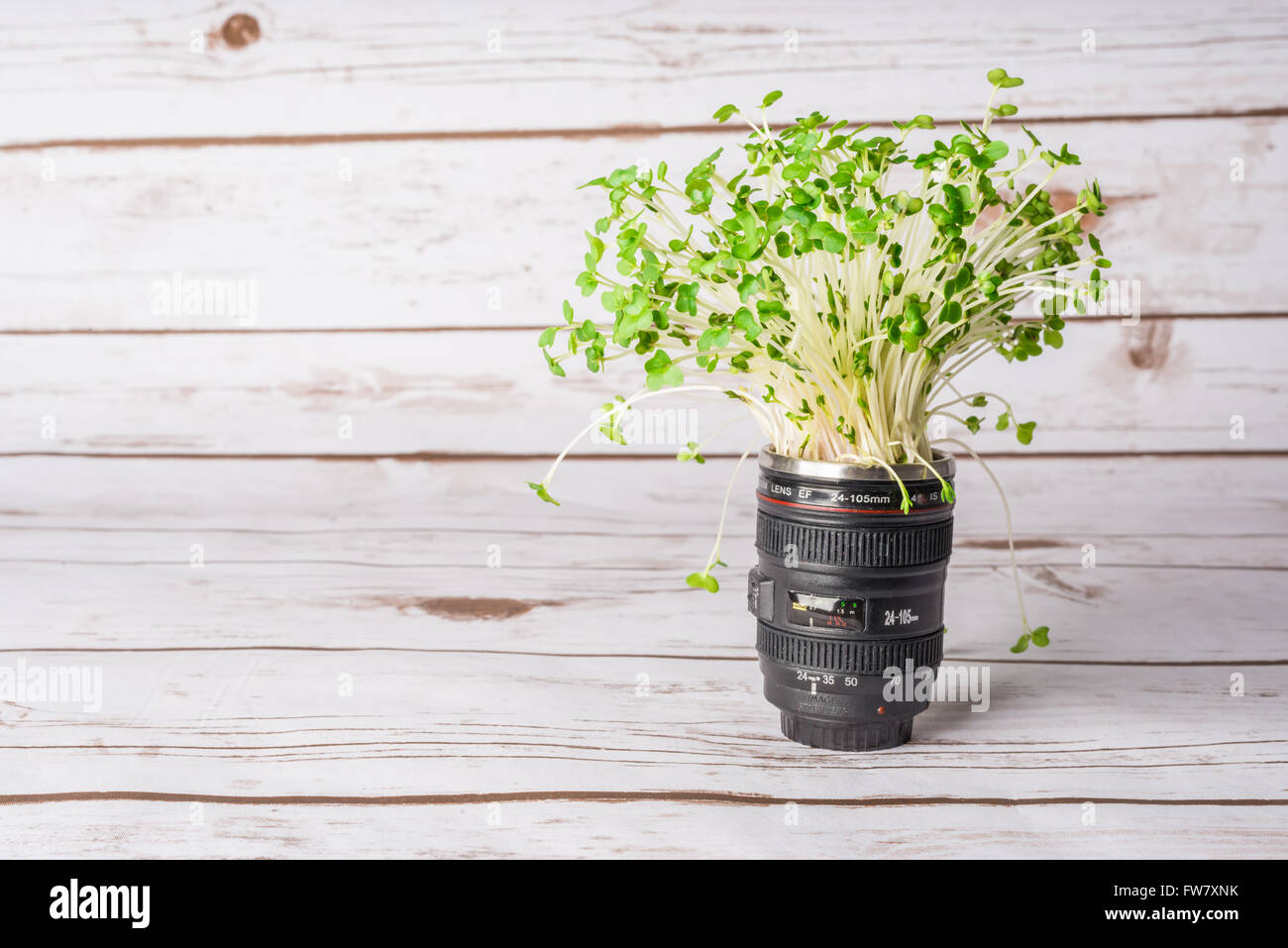 Green plant in a camera lens signifying growth and development of a ...
