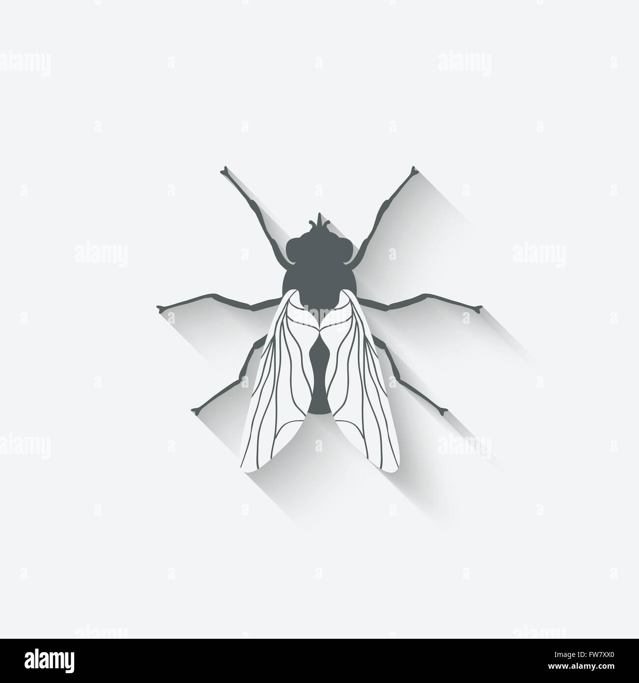 House fly insect Stock Vector Images - Alamy