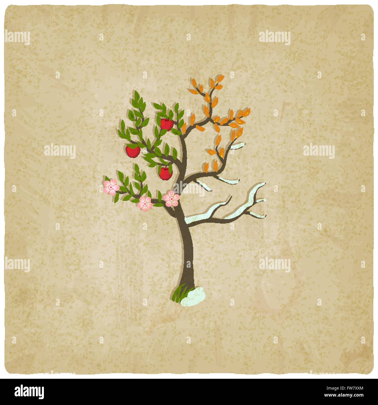 Old apples on tree branch Stock Vector Images - Alamy