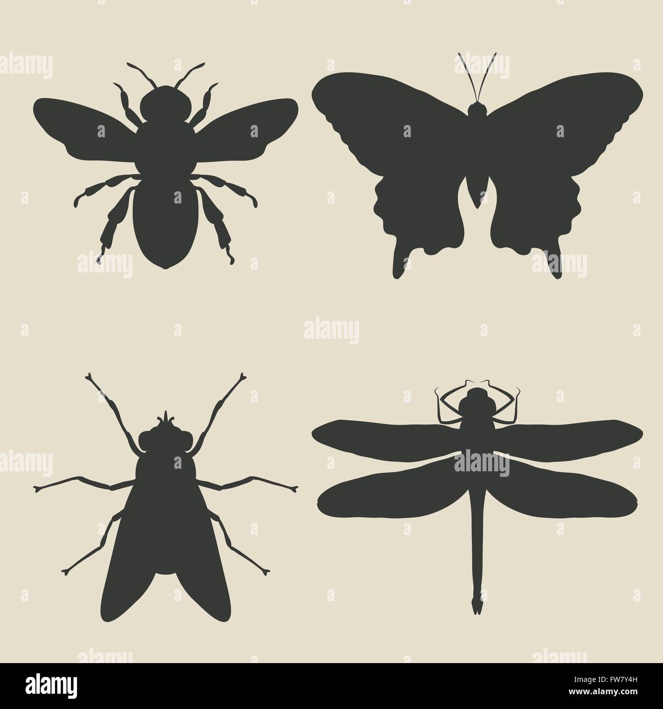 insects icon set - vector illustration. eps 8 Stock Vector Image & Art ...