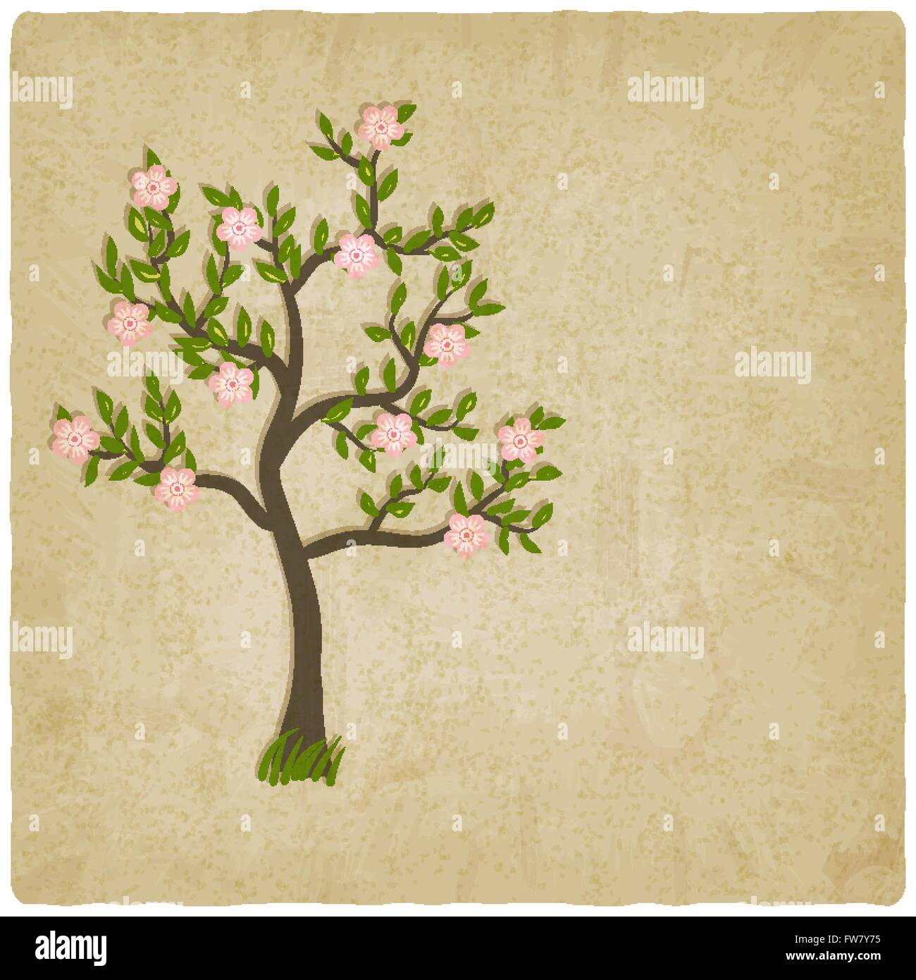 Pink cherry blossom tree blooming Stock Vector Images - Alamy