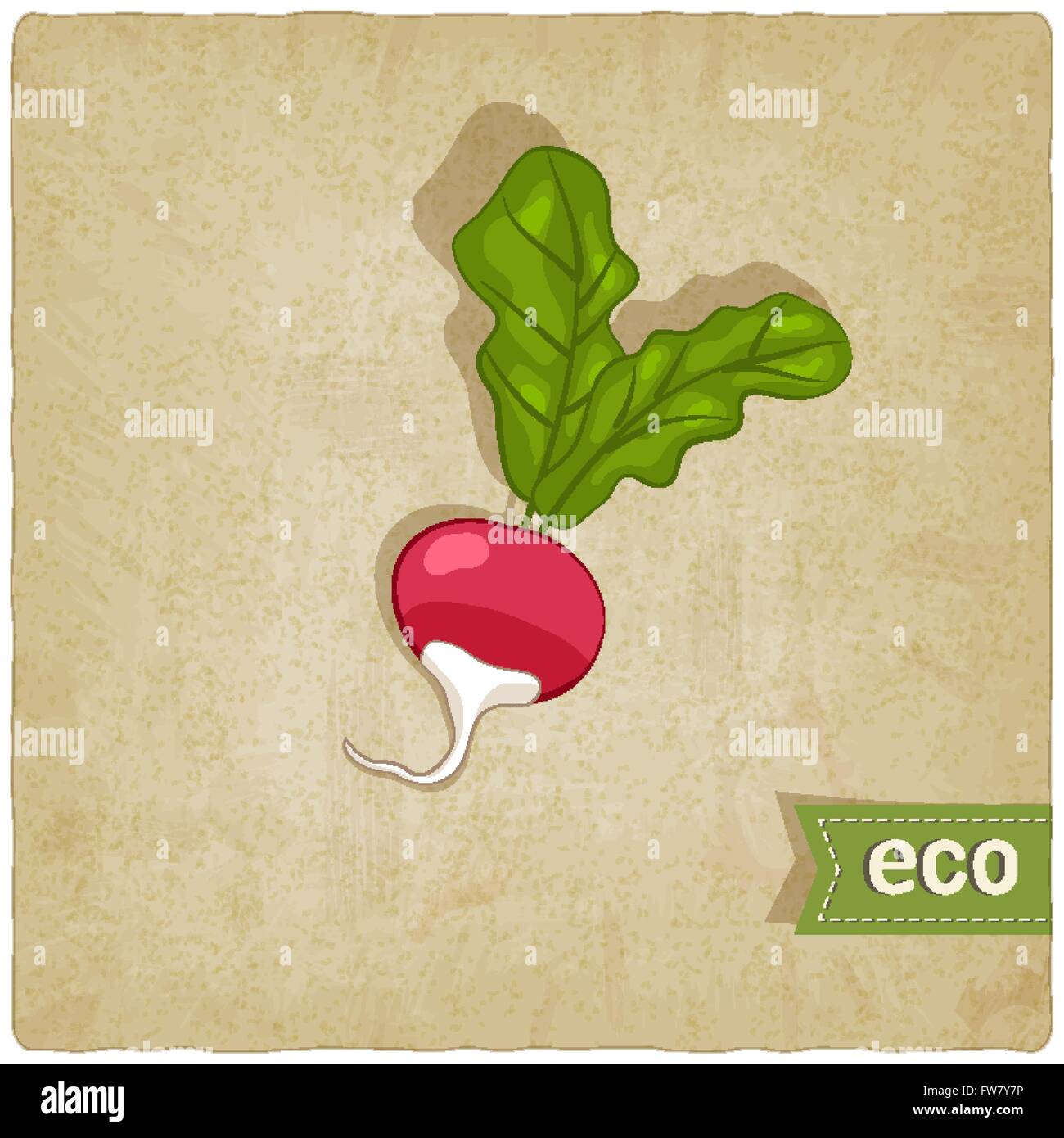 Old radish Stock Vector Images - Alamy