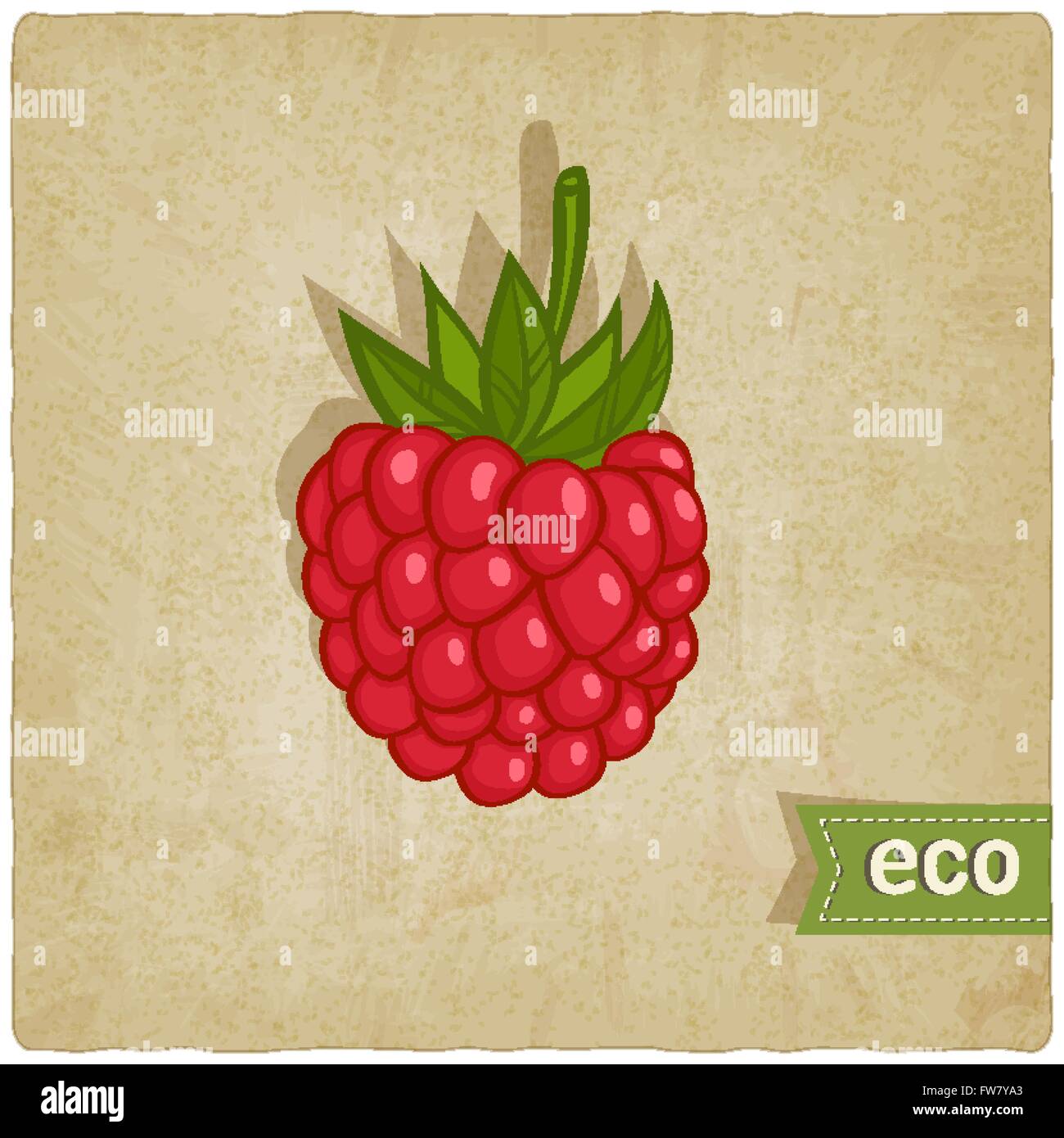 raspberries eco background - vector illustration. eps 10 Stock Vector ...