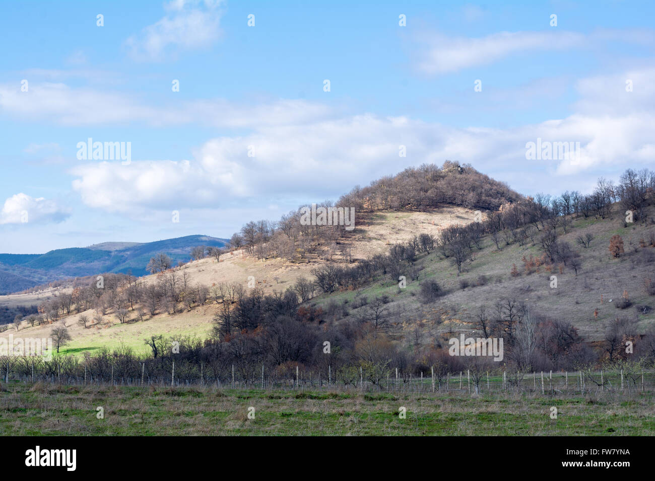 Beautiful forest, meadows and trees in the spring, Bulgaria Stock Photo ...
