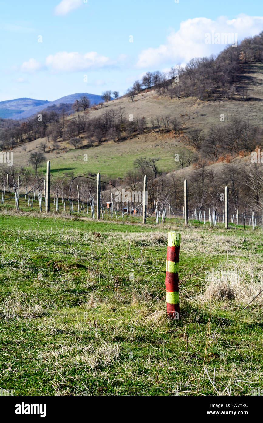 Garden with fruit trees enclosed by concrete poles Stock Photo - Alamy