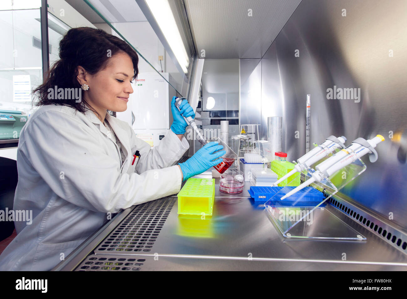 Scientist in a laboratory during pipetting Stock Photo - Alamy