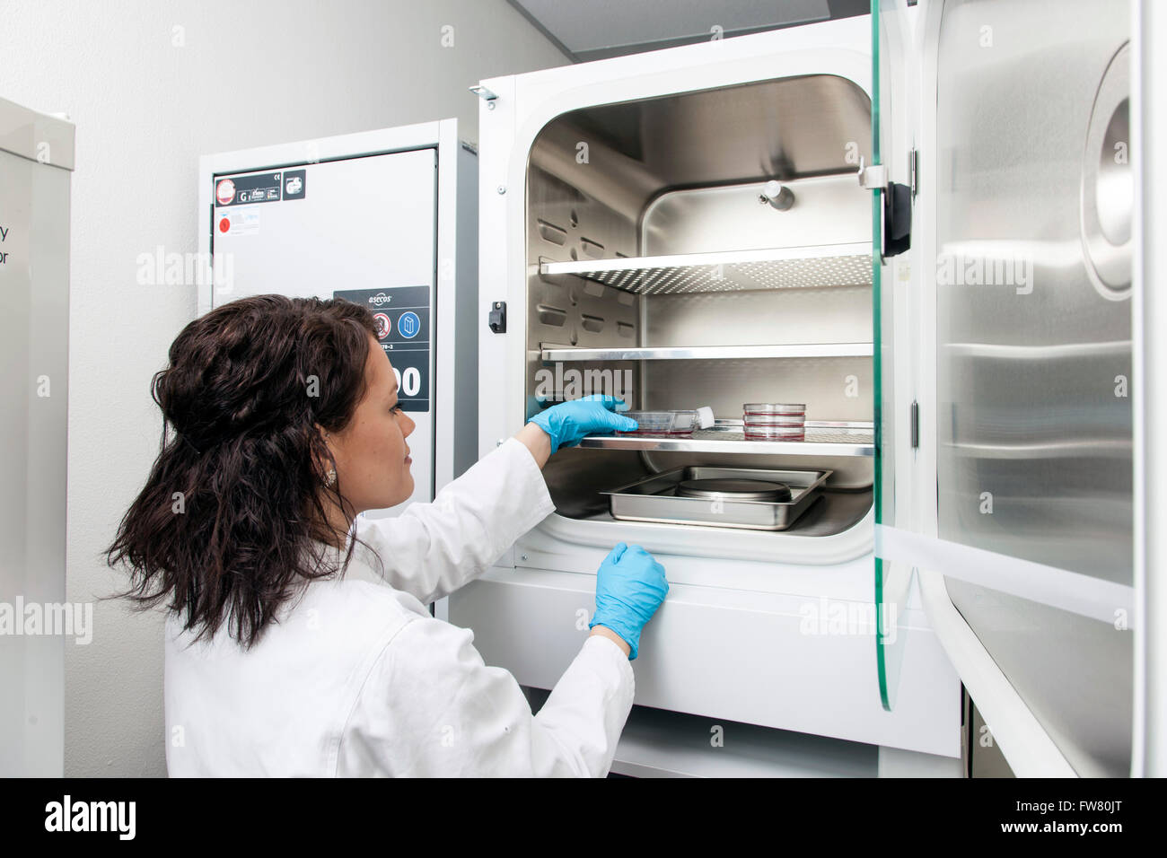 Laboratory incubator hi-res stock photography and images - Alamy