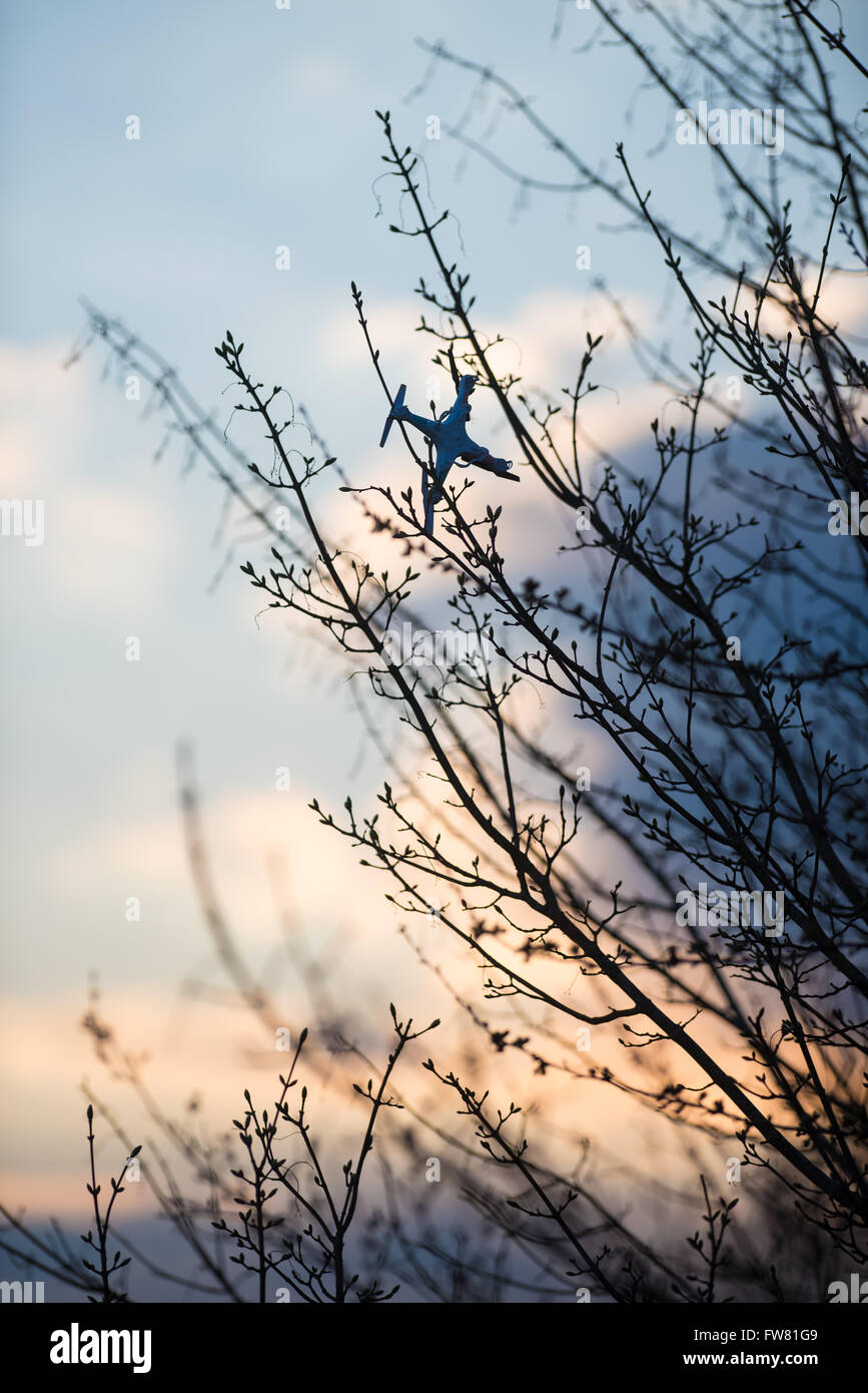 A quadcopter or drone stuck in a tree after a crash Stock Photo - Alamy