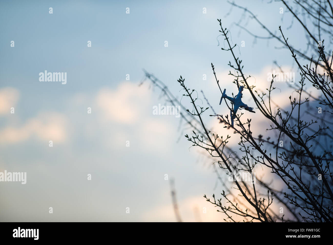 Crash in tree hi-res stock photography and images - Alamy