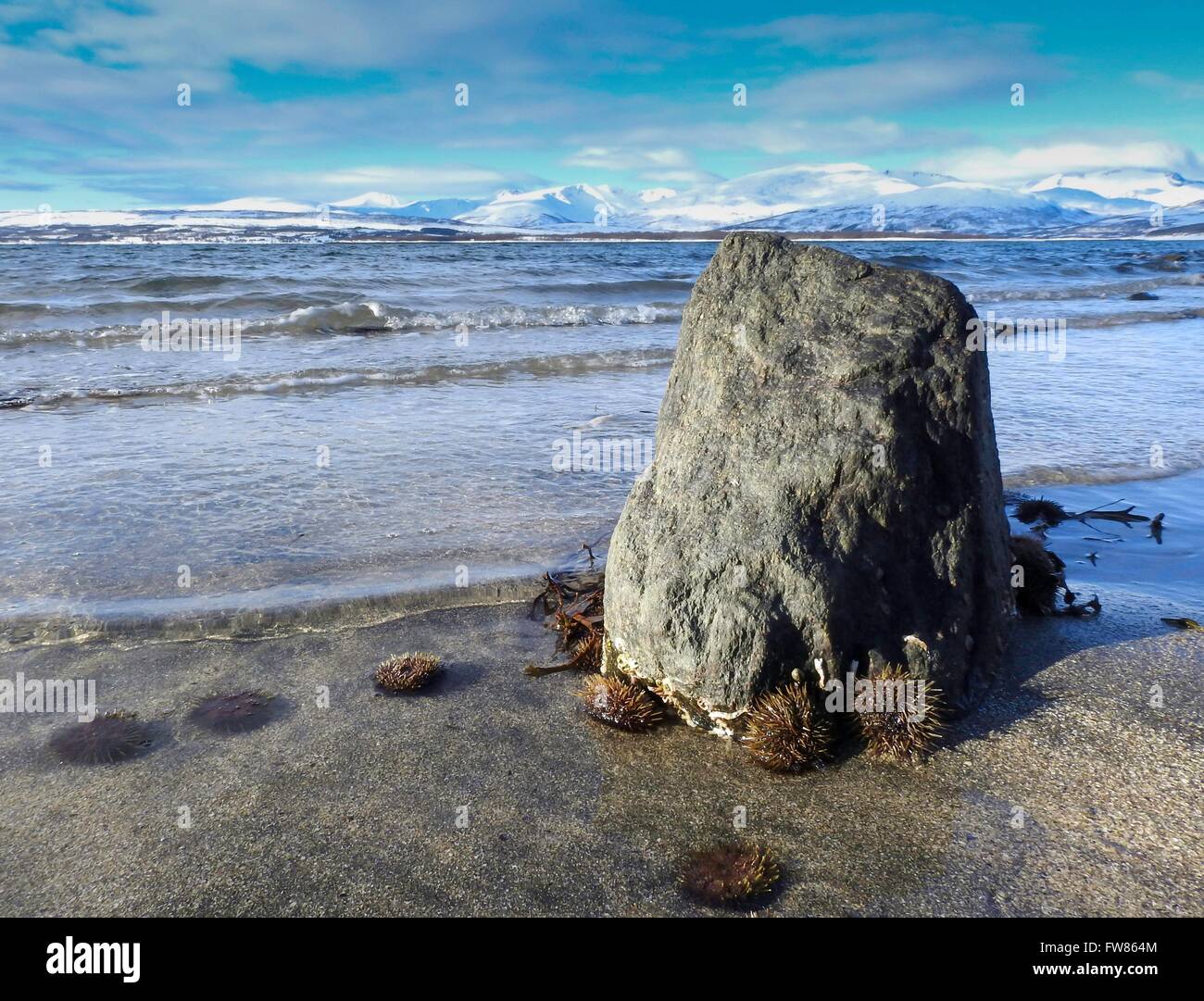 Stone On Beach, March 2016 Stock Photo - Alamy
