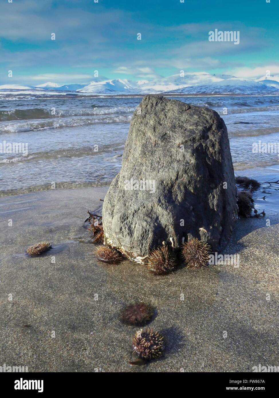 Stone On Beach, March 2016 Stock Photo - Alamy