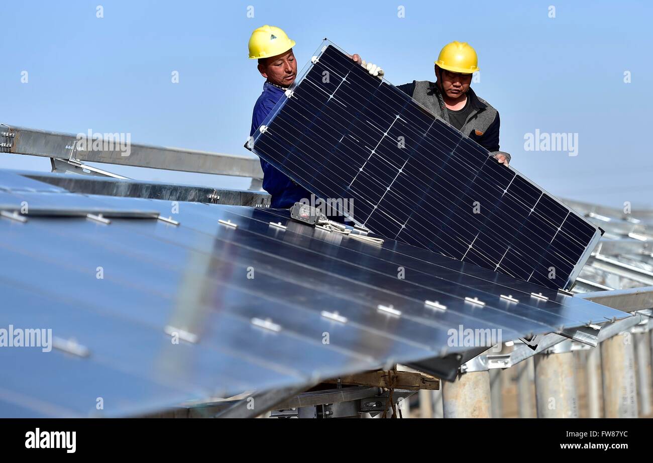 Tianjin. 1st Apr, 2016. Working staff set solar panels at Xinyi ...