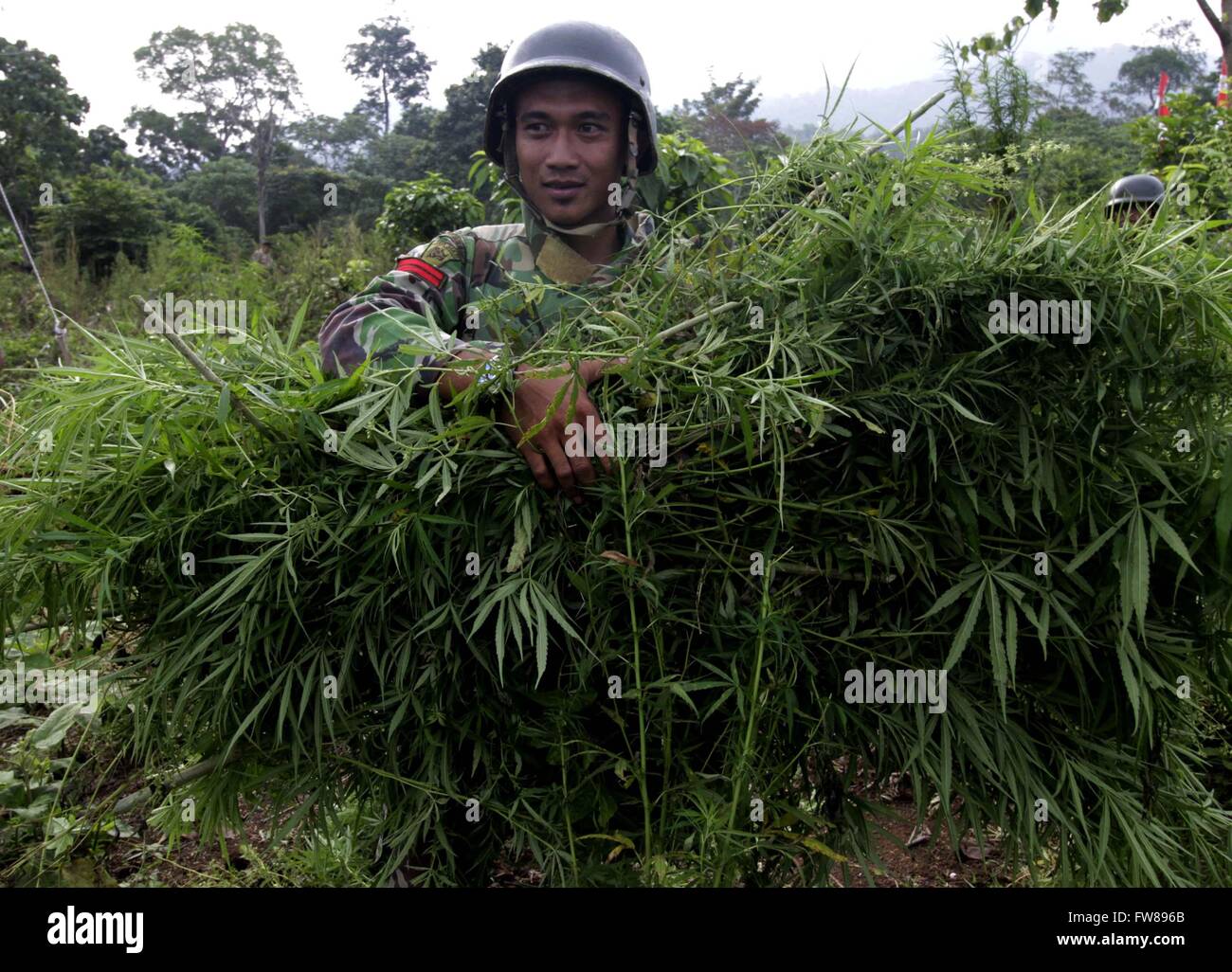 Aceh, Indonesia. 1st Apr, 2016. An Indonesian soldier takes part in an ...