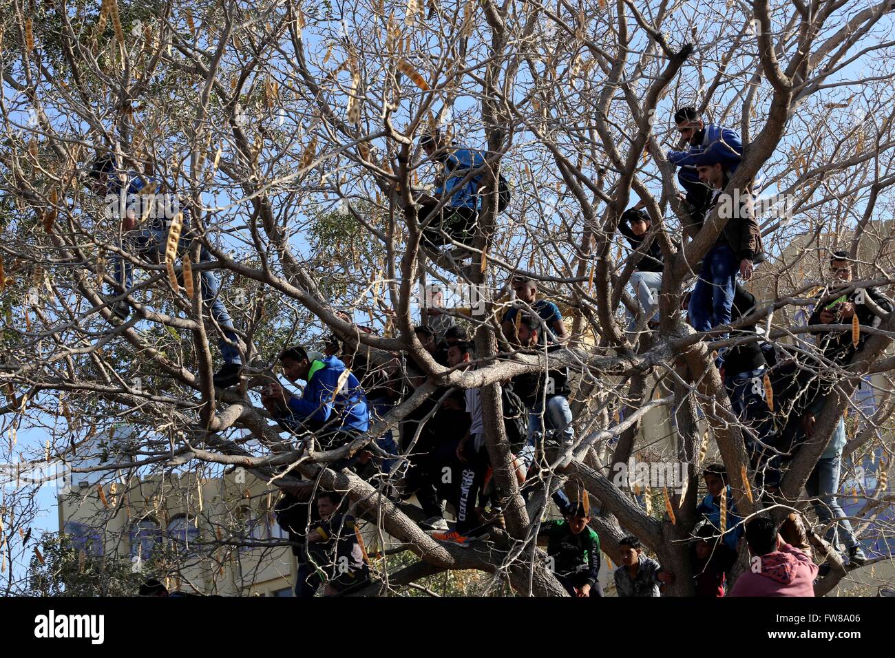 Gaza City, Gaza Strip, Palestinian Territory. 1st Apr, 2016 ...