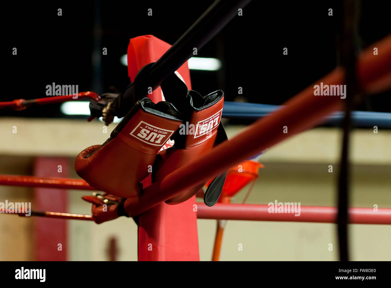 Osorno, CHILE. 1st Apr, 2016. Boxing gloves. Young amateur boxers face ...