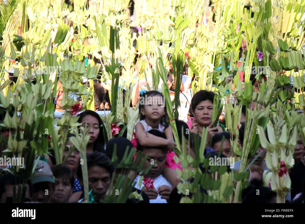 A group of Catholic devotees holding their "palaspas" (palm leaves ...