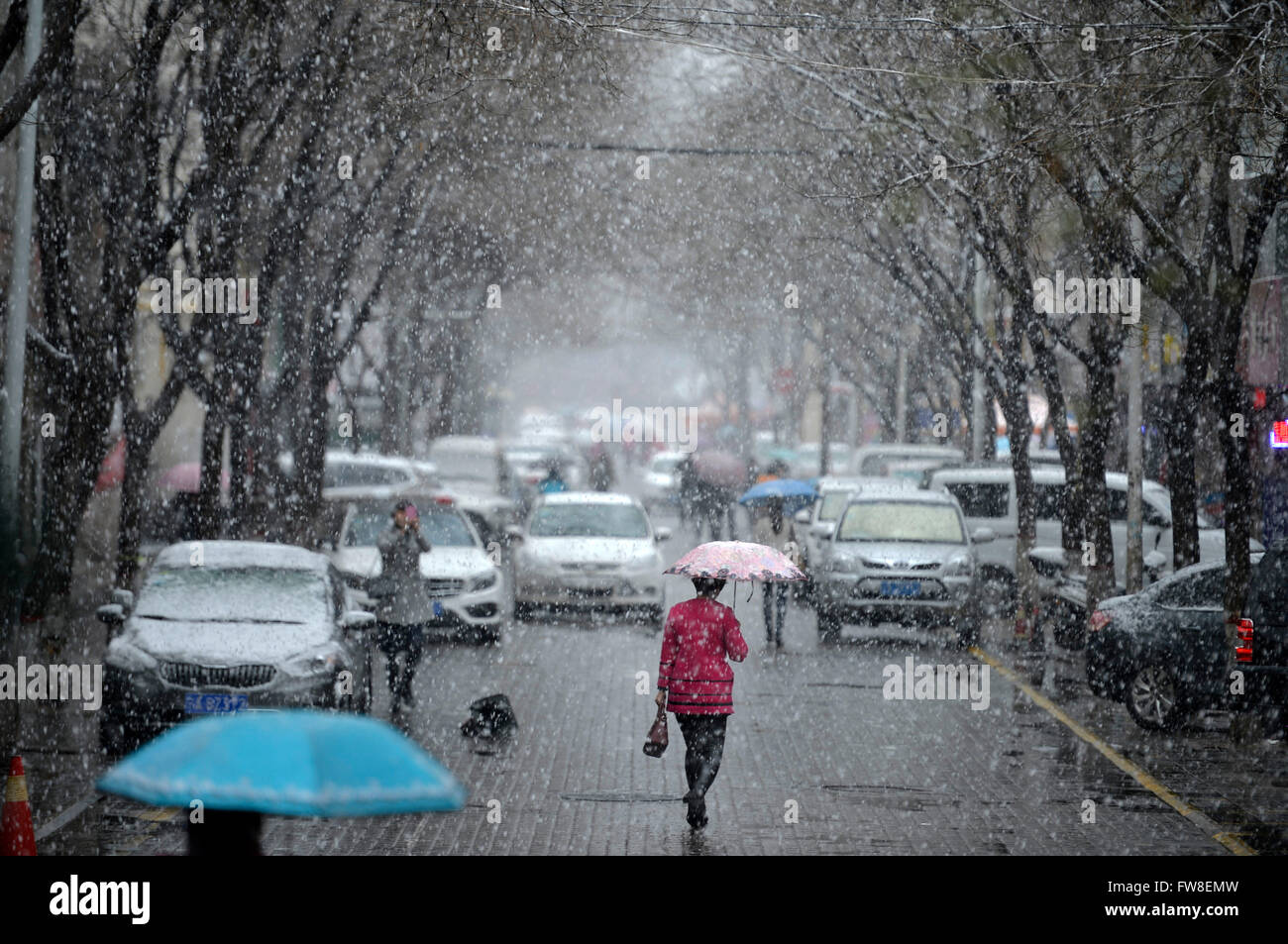 Yinchuan, China's Ningxia Hui Autonomous Region. 2nd Apr, 2016. A man ...