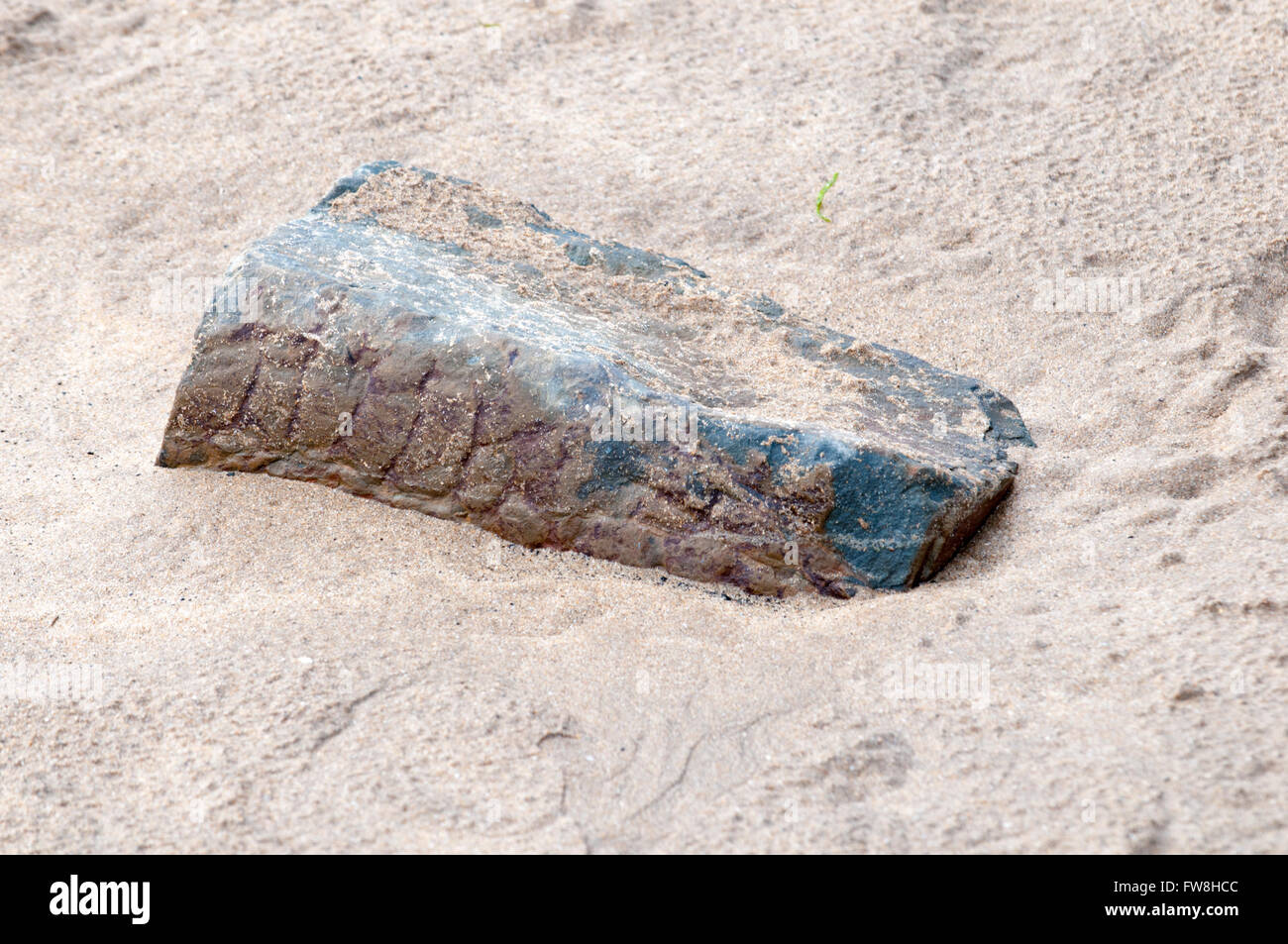 Sandy stone with markings in the sand on a beach Stock Photo - Alamy