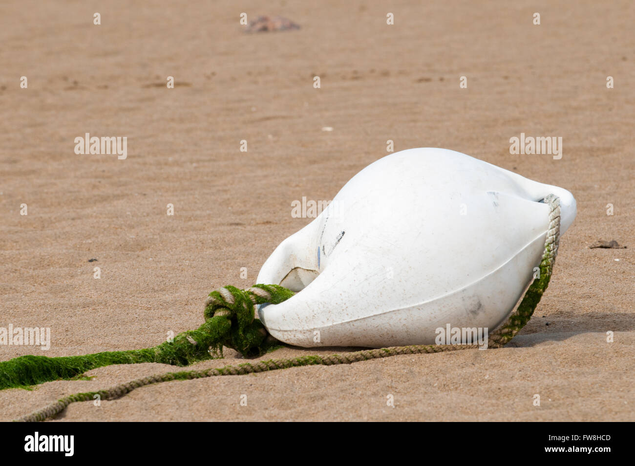White buoy lying in the yellow sand of a beach Stock Photo - Alamy