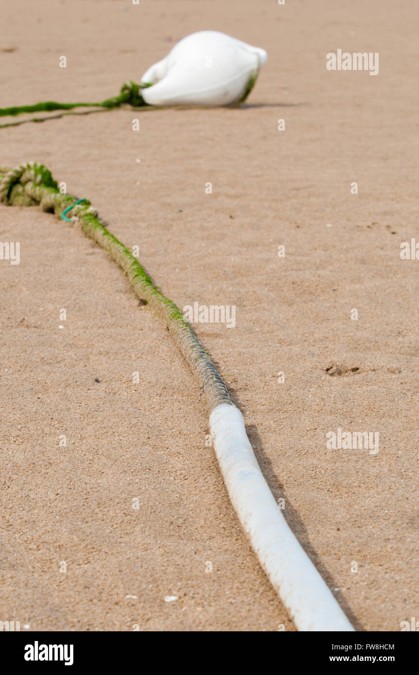 White buoy lying in the yellow sand of a beach Stock Photo - Alamy