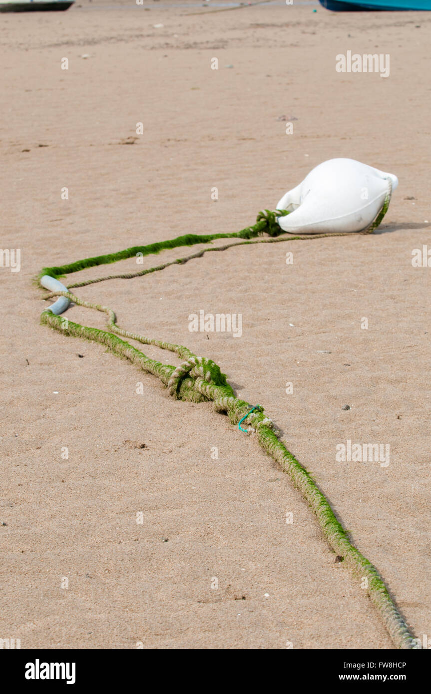White buoy lying in the yellow sand of a beach Stock Photo - Alamy