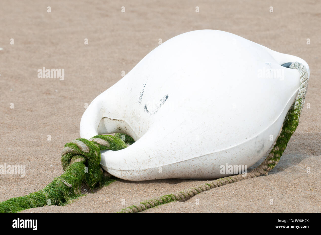 Sandy beach buoy and rope hi-res stock photography and images - Alamy