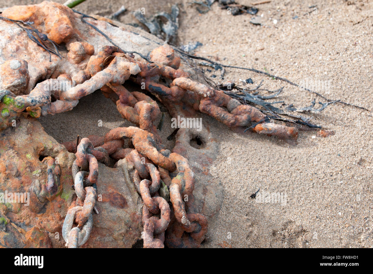 metal chains washed up on the shoreline of a beach Stock Photo - Alamy