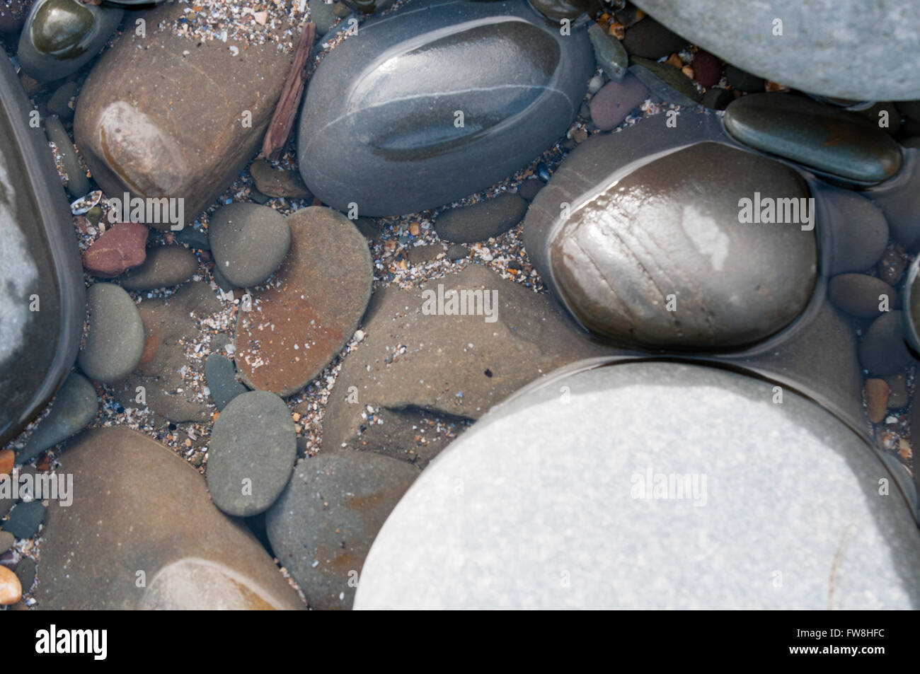 Variety of pebbles in a shallow rock pool Stock Photo - Alamy