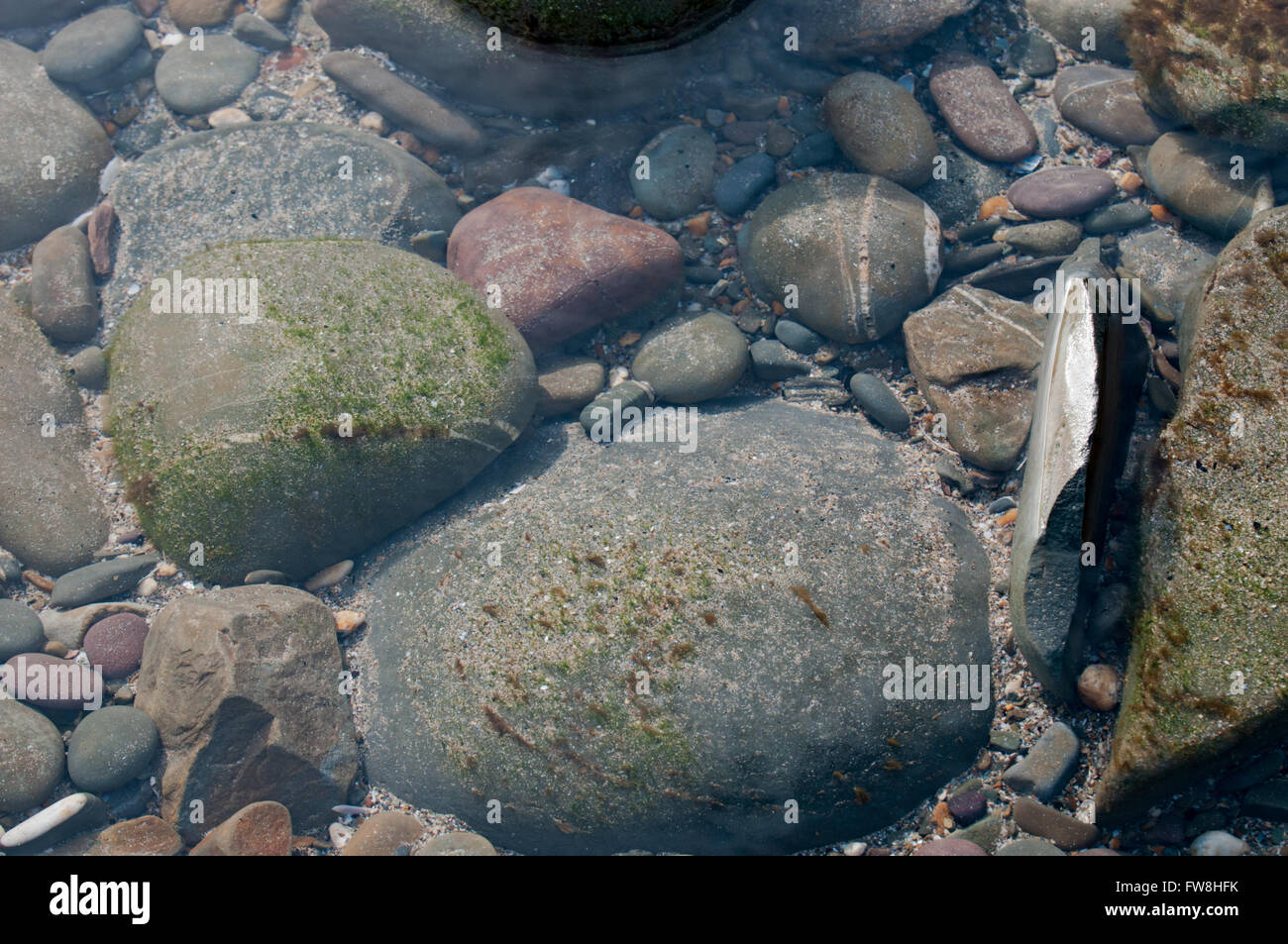 Variety rock hi-res stock photography and images - Alamy