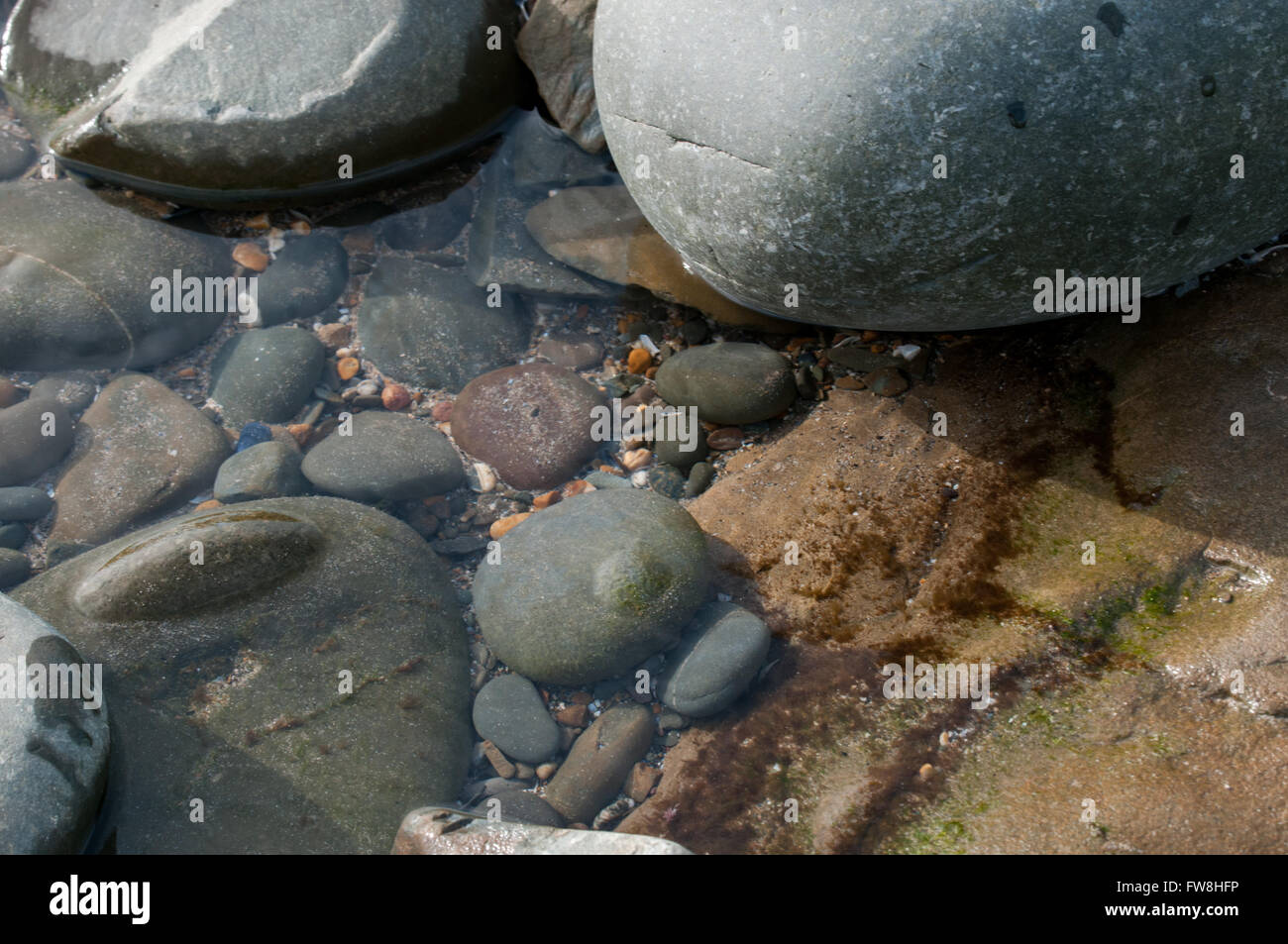 Variety of pebbles in a shallow rock pool Stock Photo - Alamy