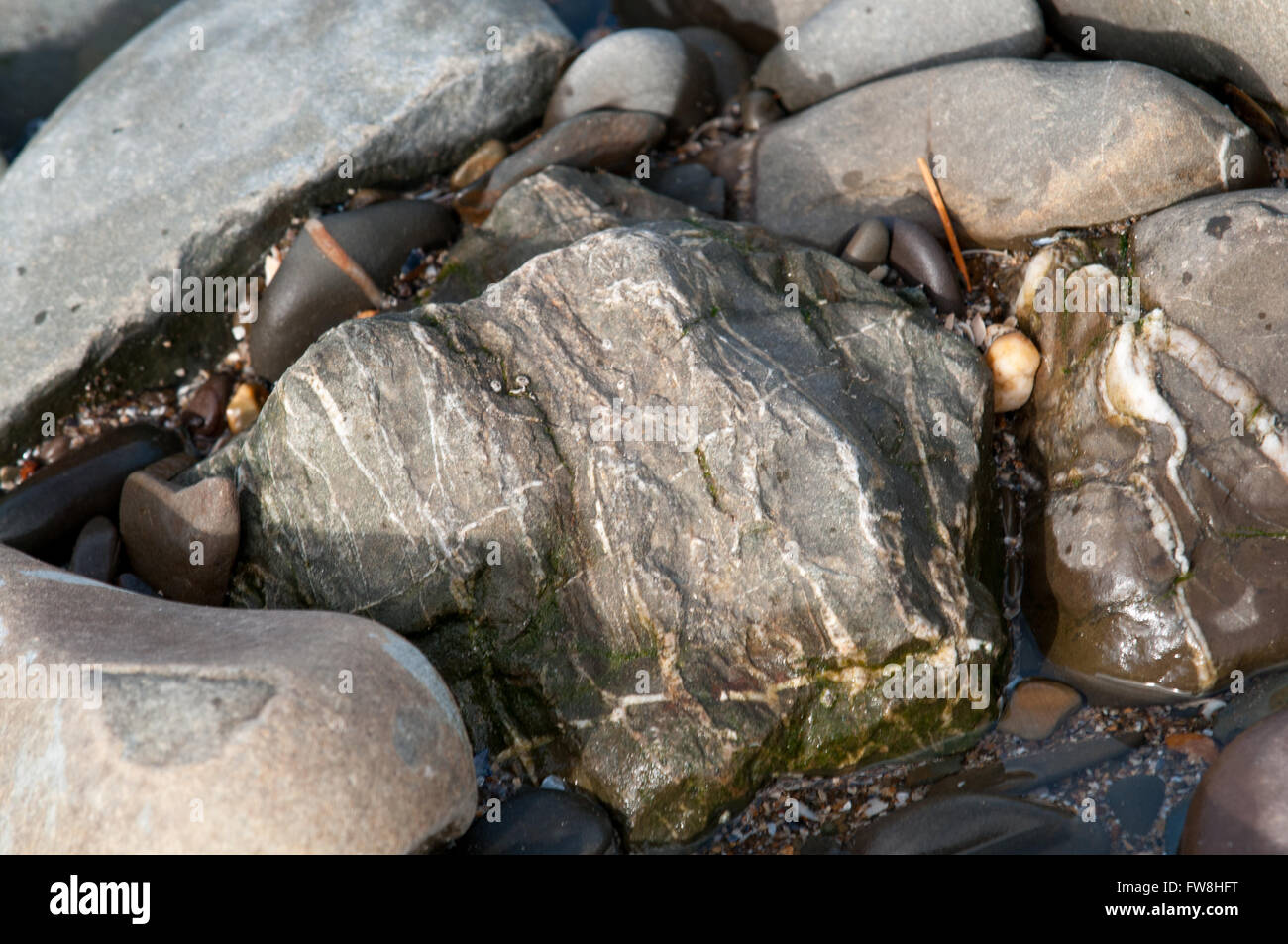 Variety of pebbles in a shallow rock pool Stock Photo - Alamy