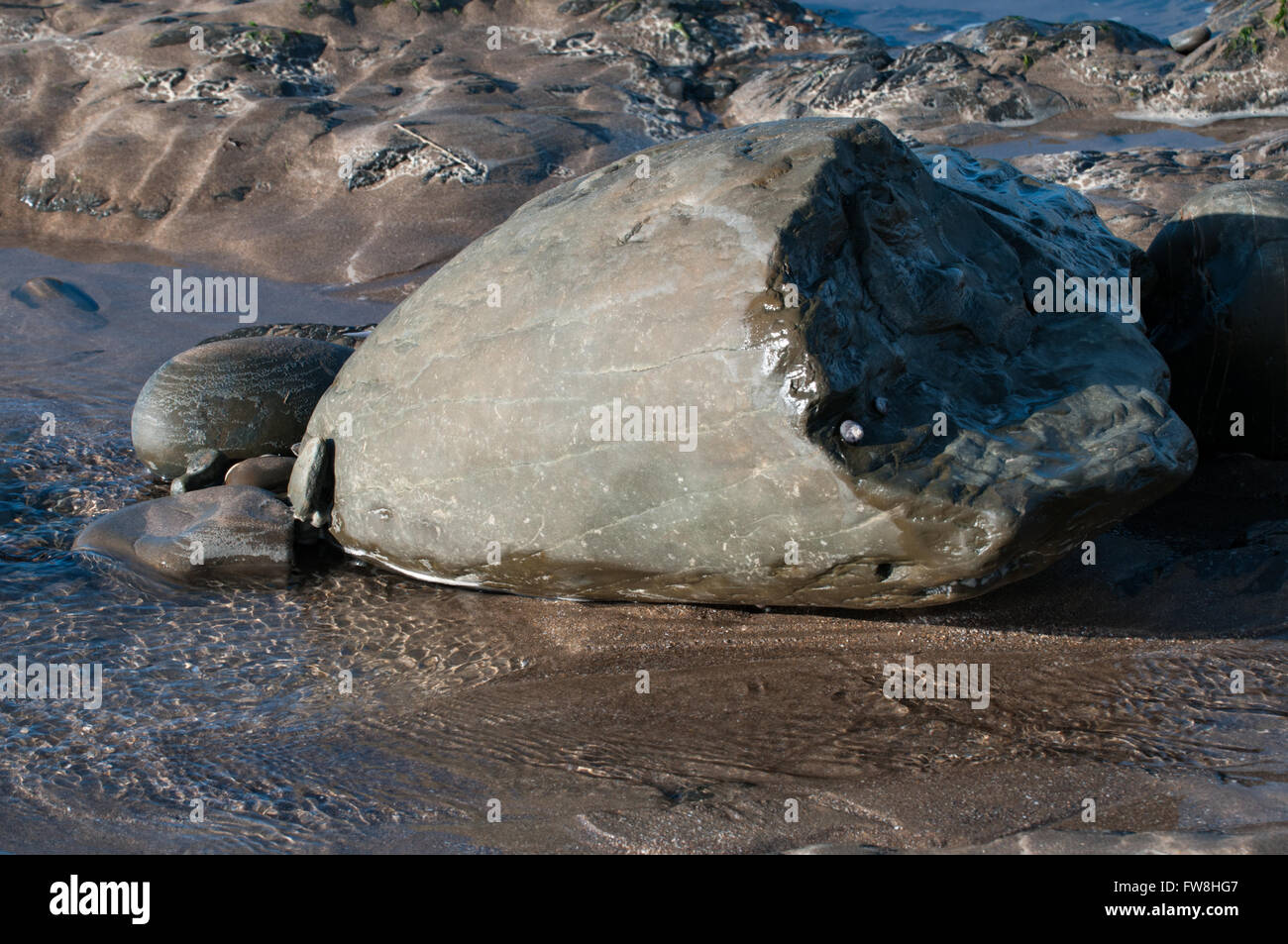 Variety of pebbles in a shallow rock pool Stock Photo - Alamy
