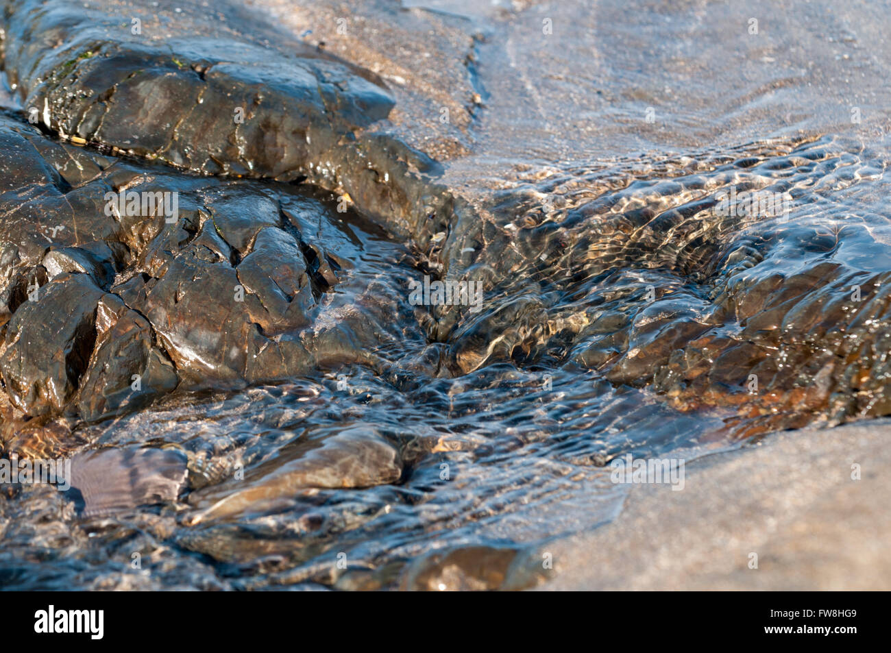 Variety of pebbles in a shallow rock pool Stock Photo - Alamy