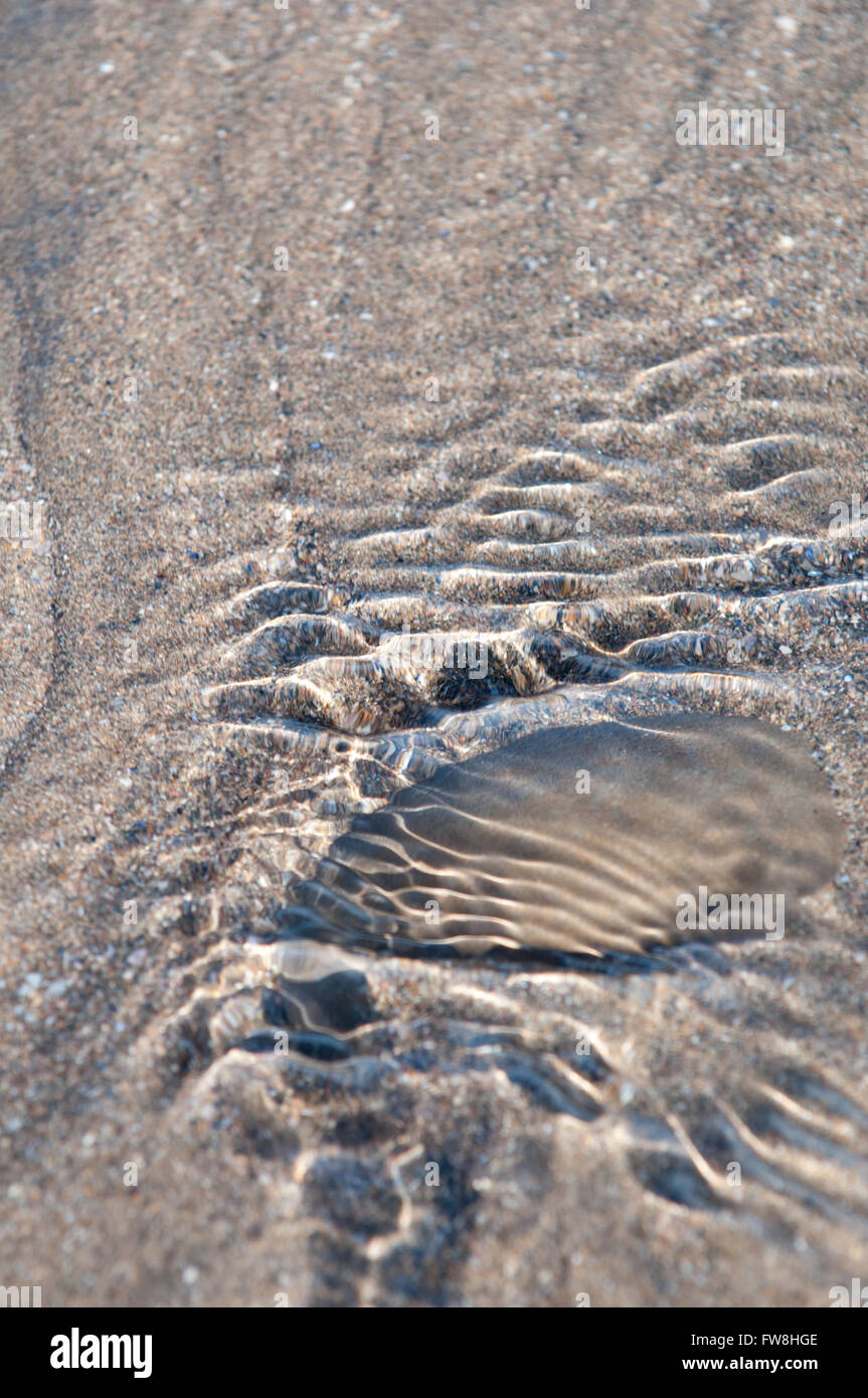 Water flowing over sand and a stone at the beach Stock Photo - Alamy