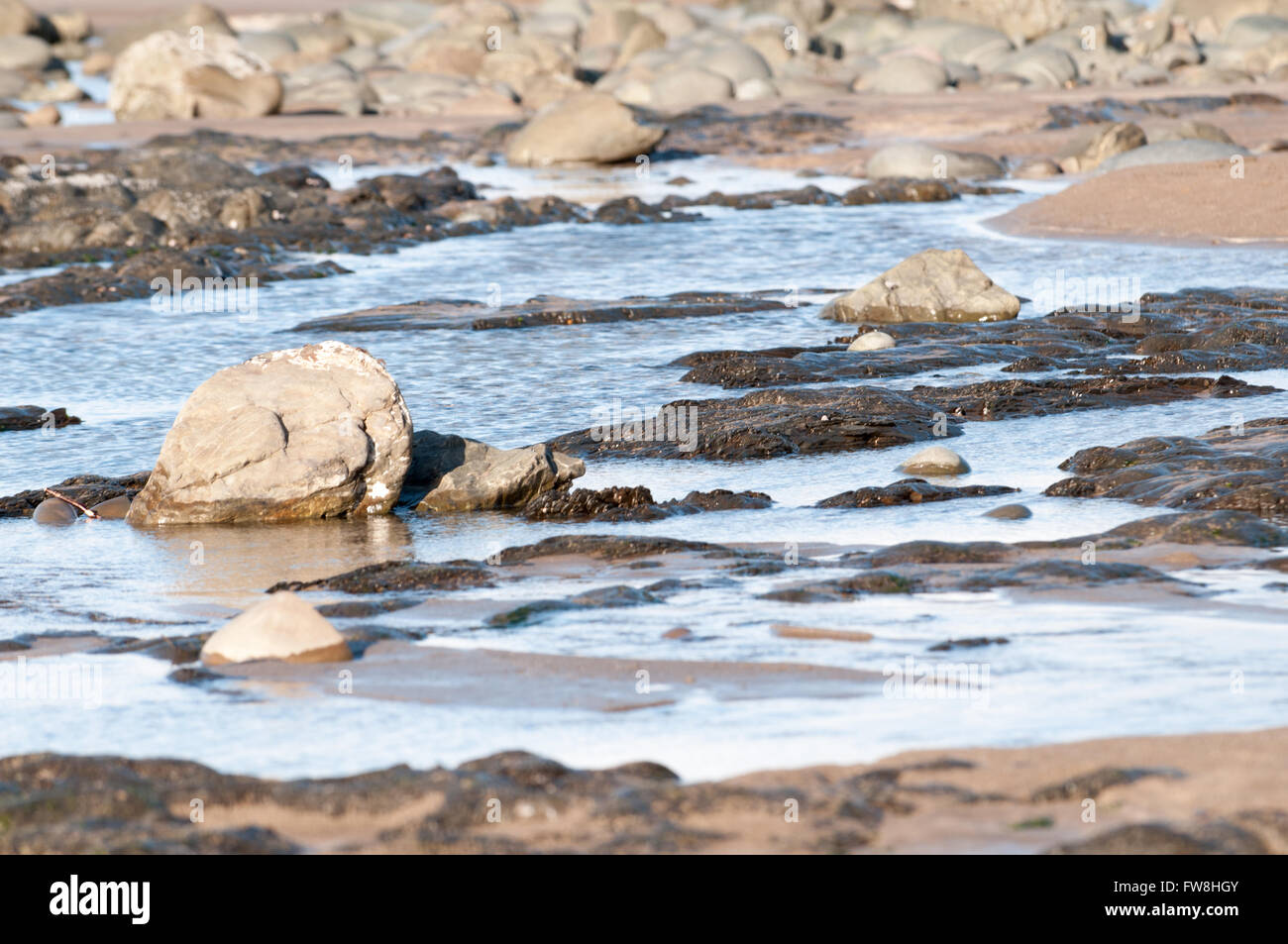 Variety of pebbles in a shallow rock pool Stock Photo - Alamy