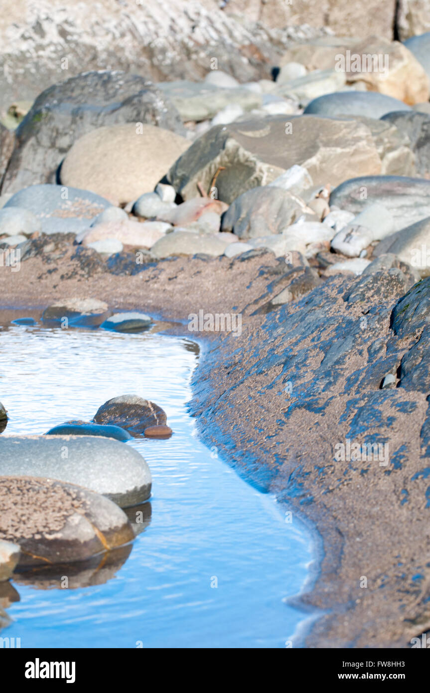 Variety of pebbles in a shallow rock pool Stock Photo - Alamy