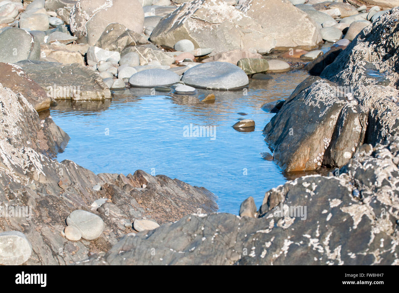 Variety of pebbles in a shallow rock pool Stock Photo - Alamy