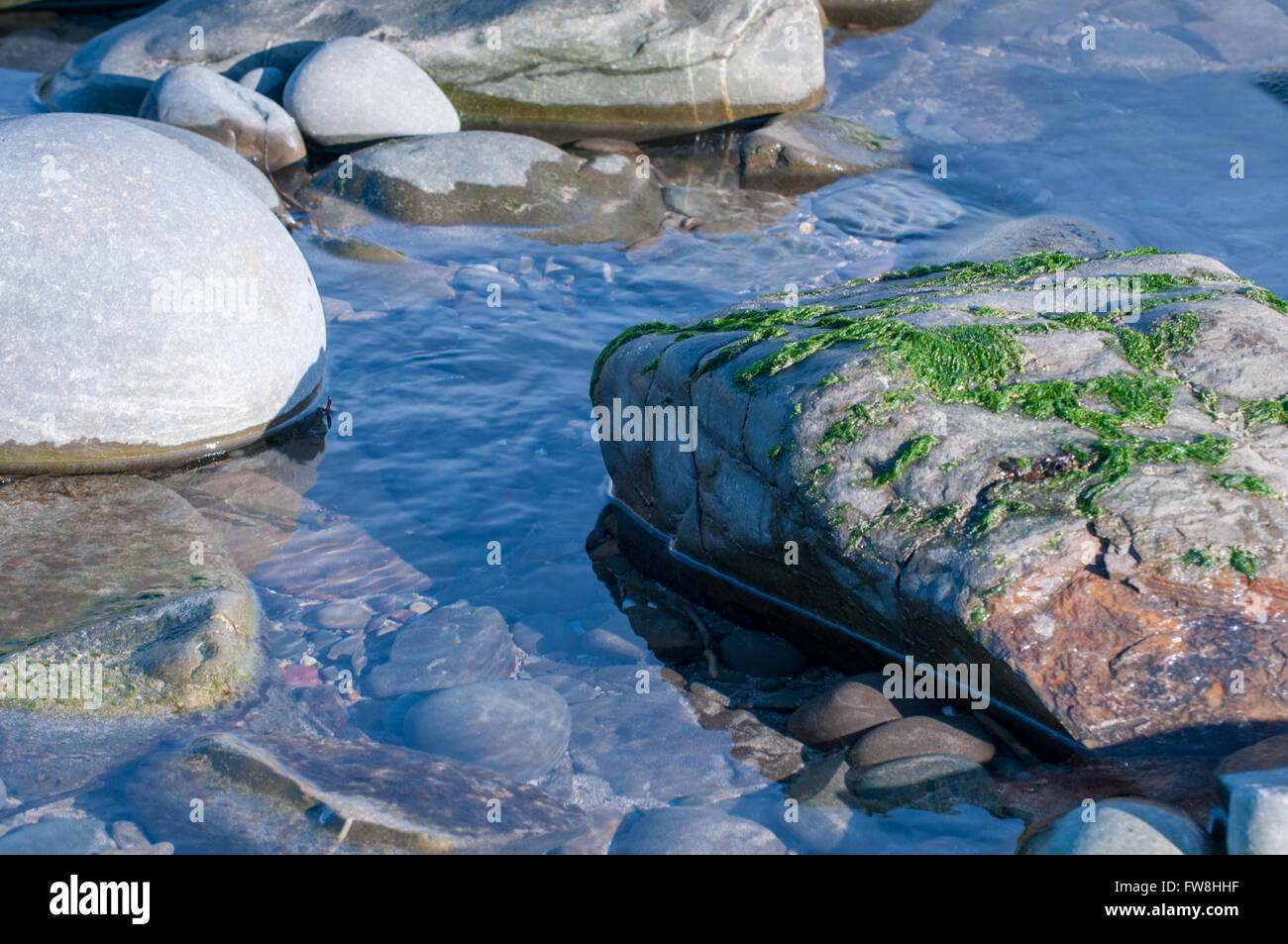 Variety of pebbles in a shallow rock pool Stock Photo - Alamy