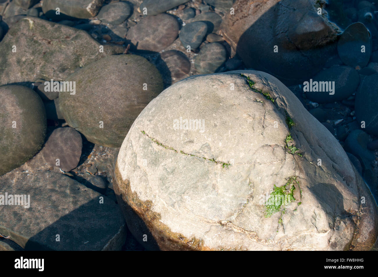 Variety of pebbles in a shallow rock pool Stock Photo - Alamy
