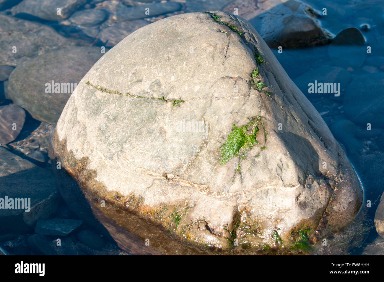 Variety of pebbles in a shallow rock pool Stock Photo - Alamy