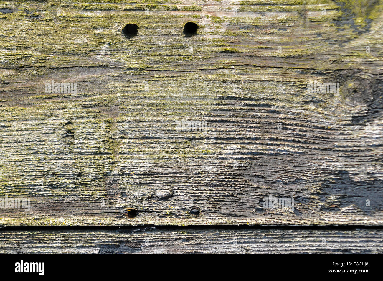 Close up wood background from a tree trunk Stock Photo - Alamy