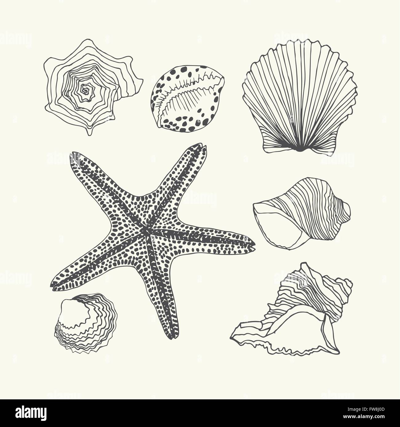 Seashell details Stock Vector Images - Alamy