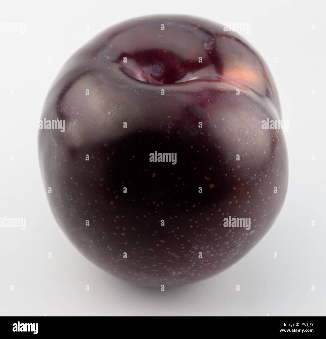 Close up of single plum isolated on white Stock Photo - Alamy