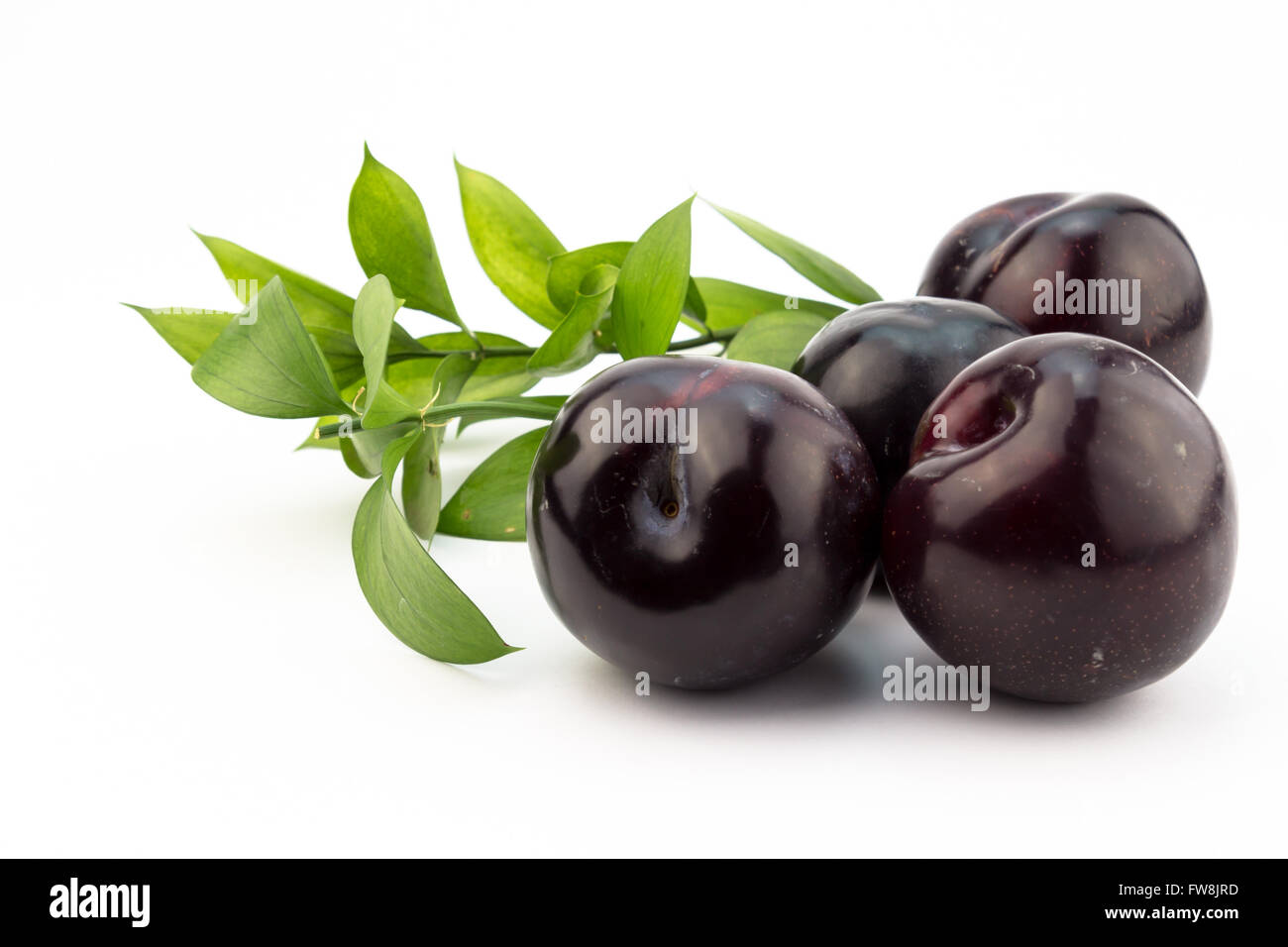 Four plums isolated on white background Stock Photo - Alamy