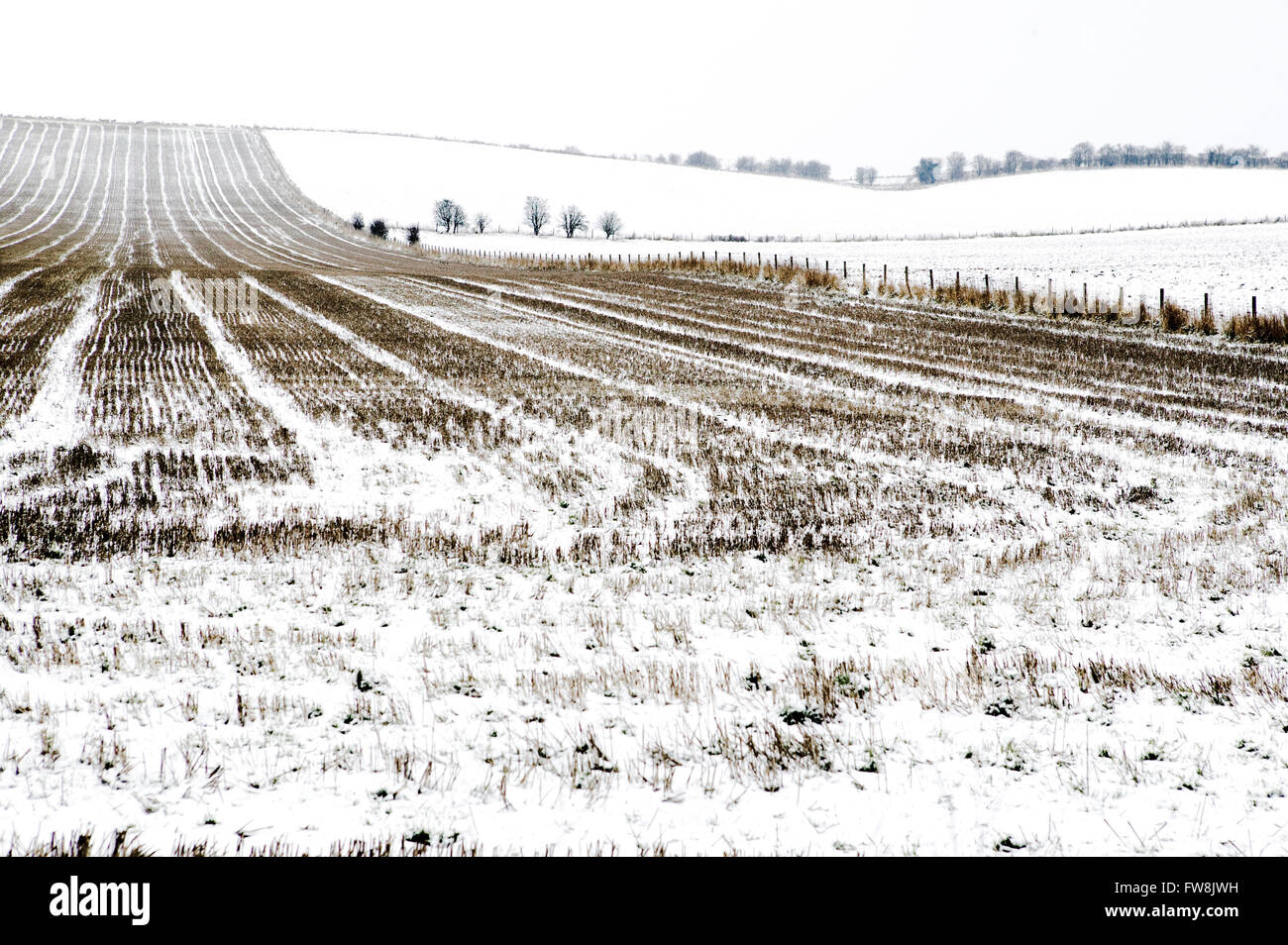 Snow covered fields and hills in the british countryside. After a ...