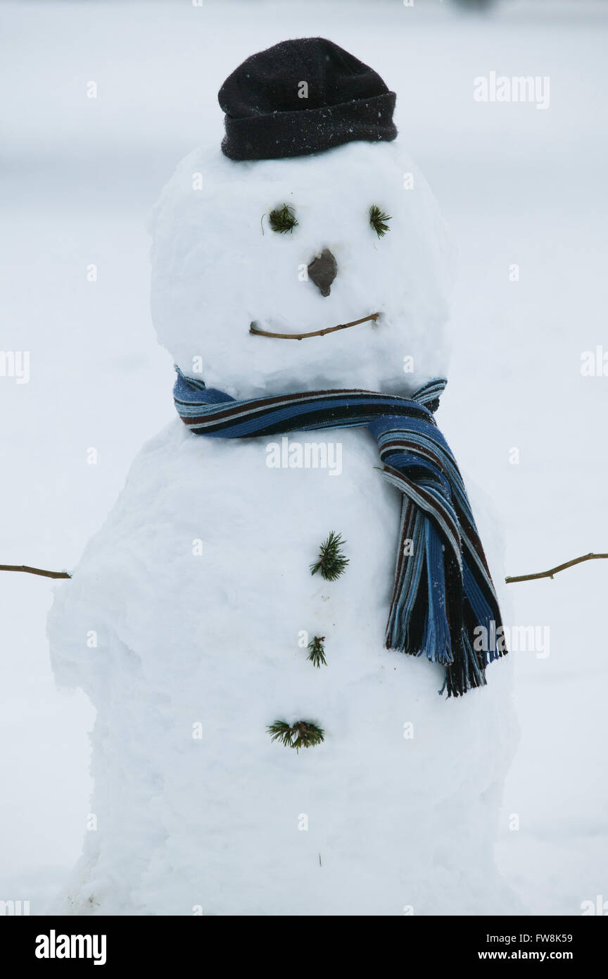 Snowman in the cotswolds hi-res stock photography and images - Alamy