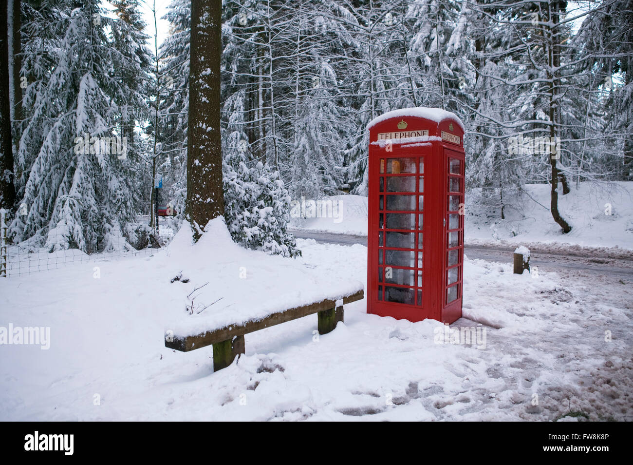 An old british red telephone box stands alone in a snowy landscape ...