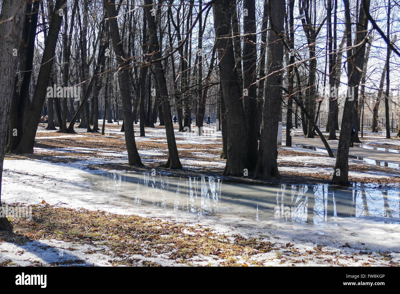 Puddles in melting snow hi-res stock photography and images - Alamy