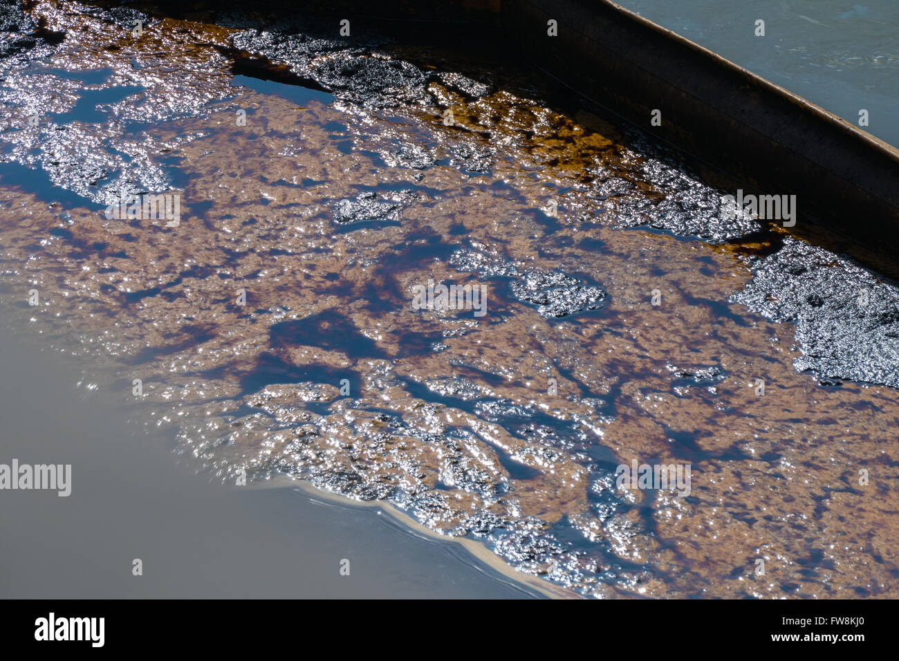 Gasoline waste in the river Stock Photo - Alamy